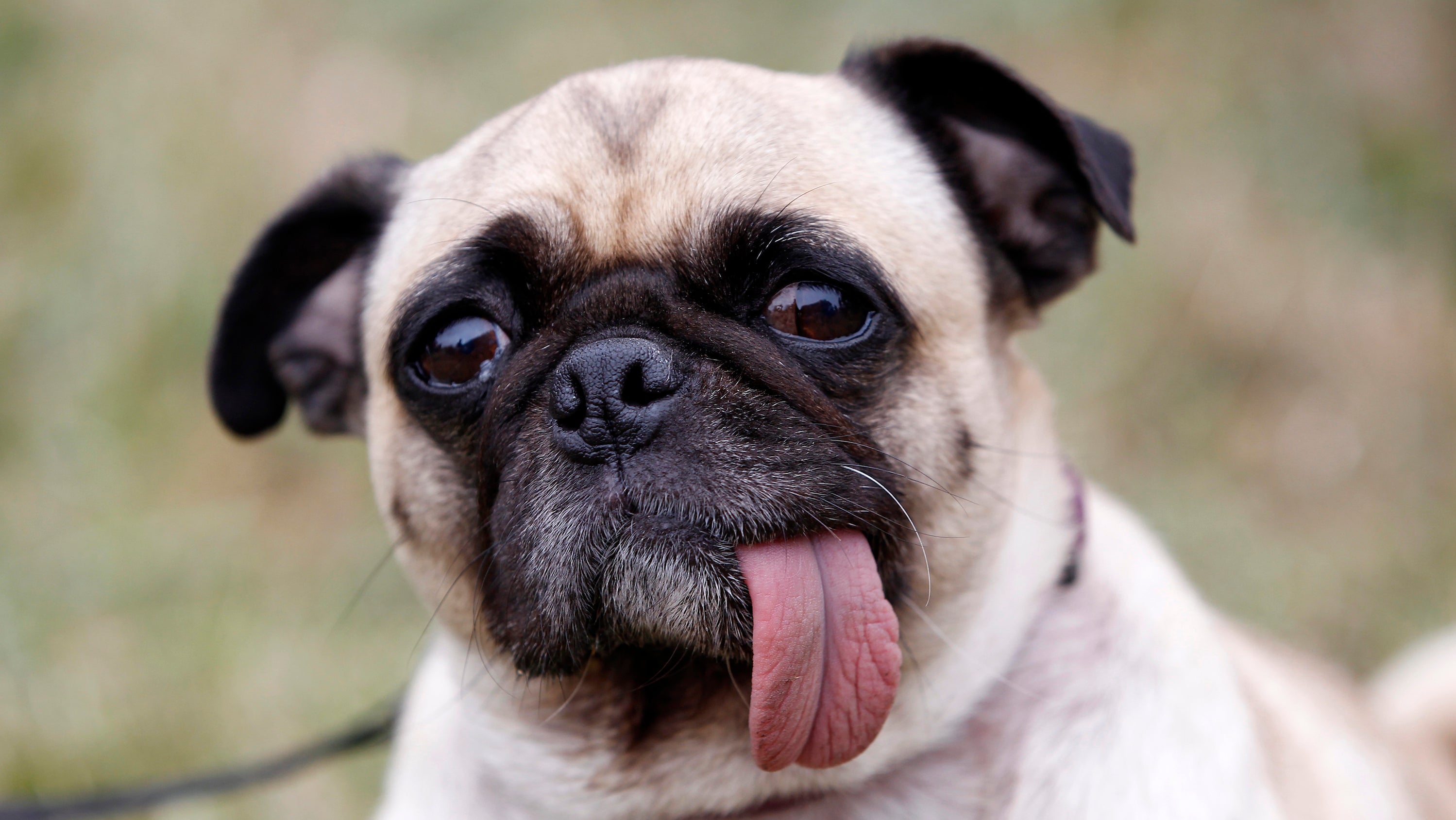 The history of ugliness shows that there is no such thing