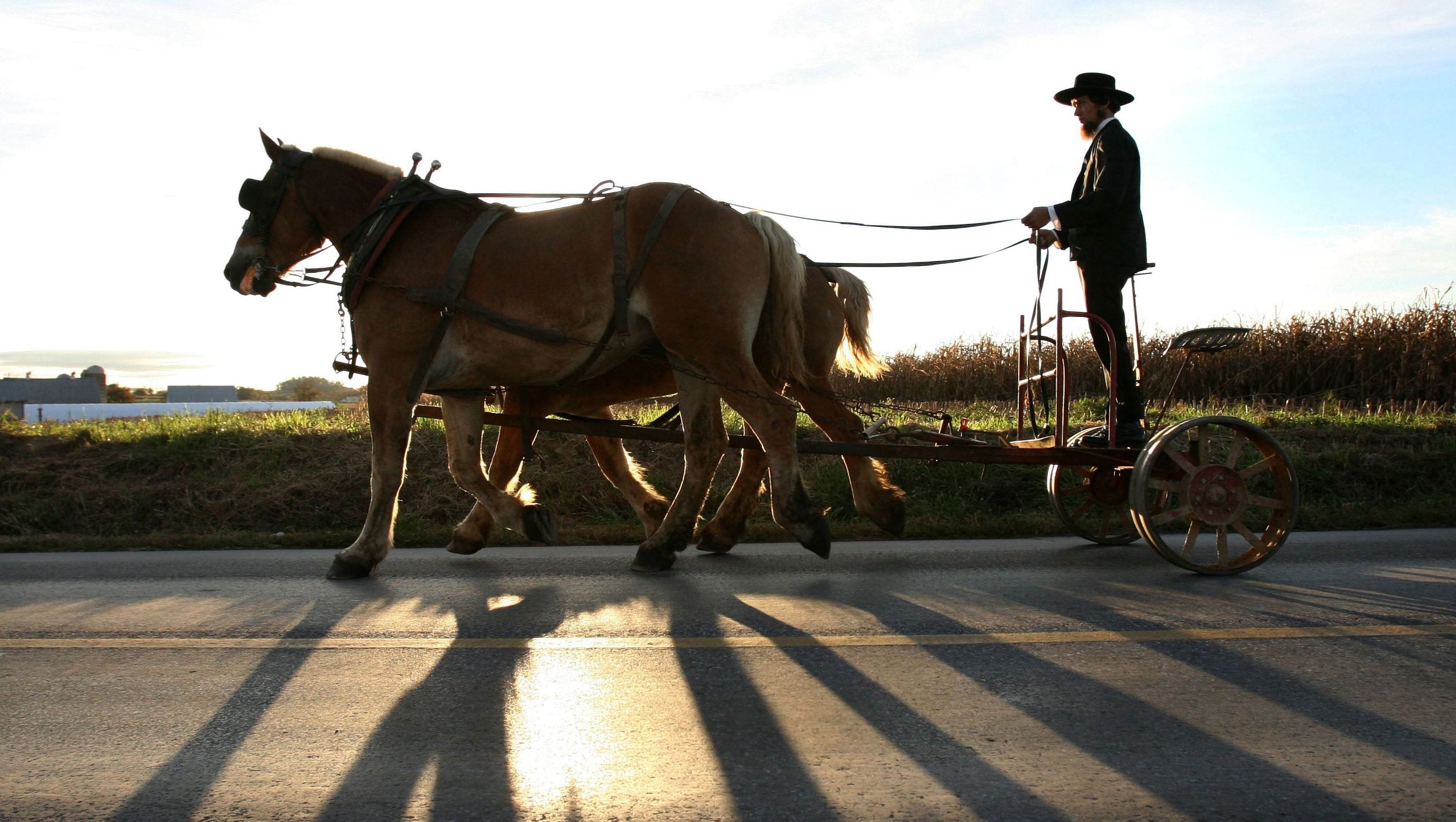 The Amish understand a life-changing truth about technology the rest of ...
