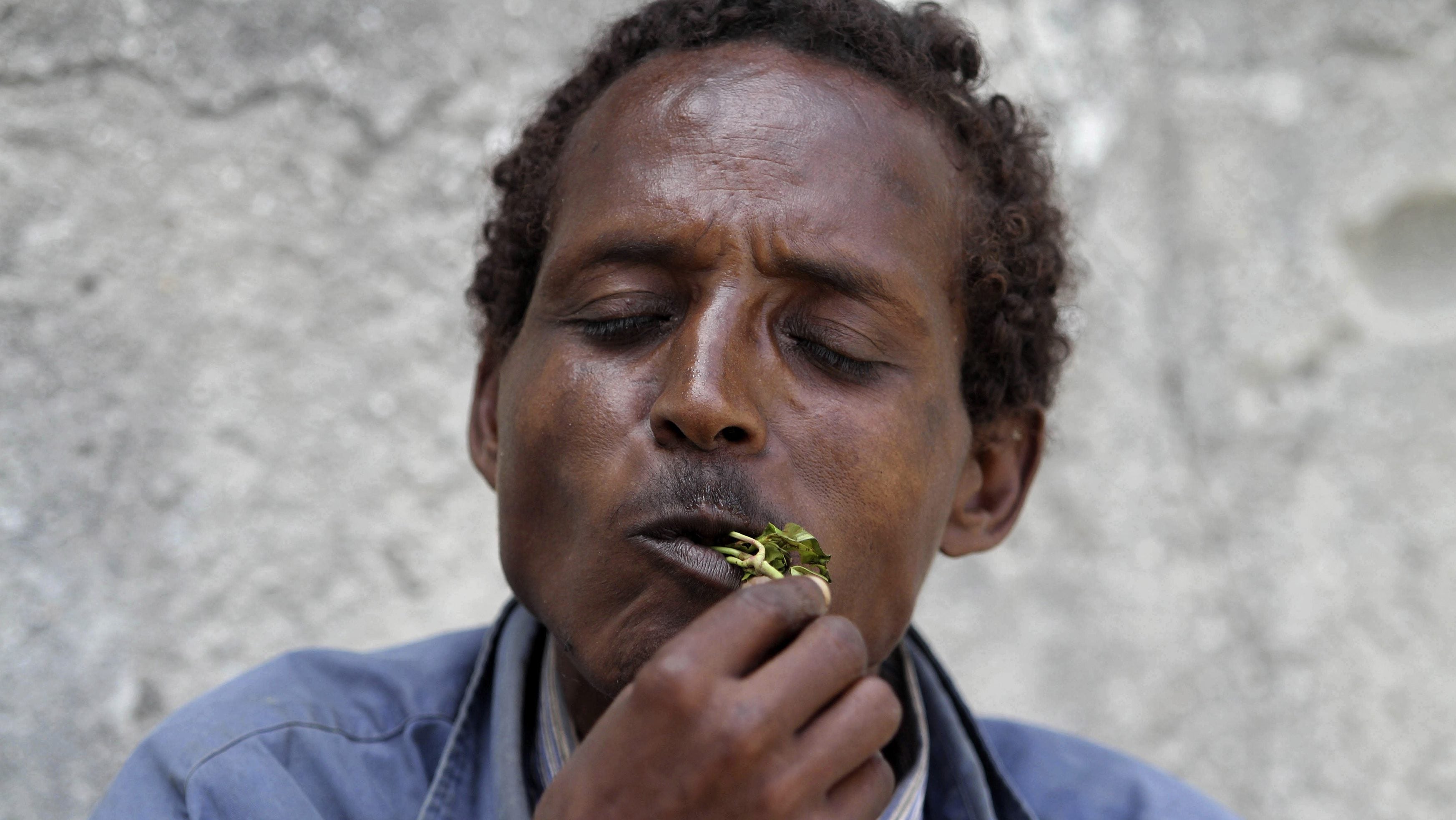The rise, fall, then grudging acceptance of khat, East Africa’s ...