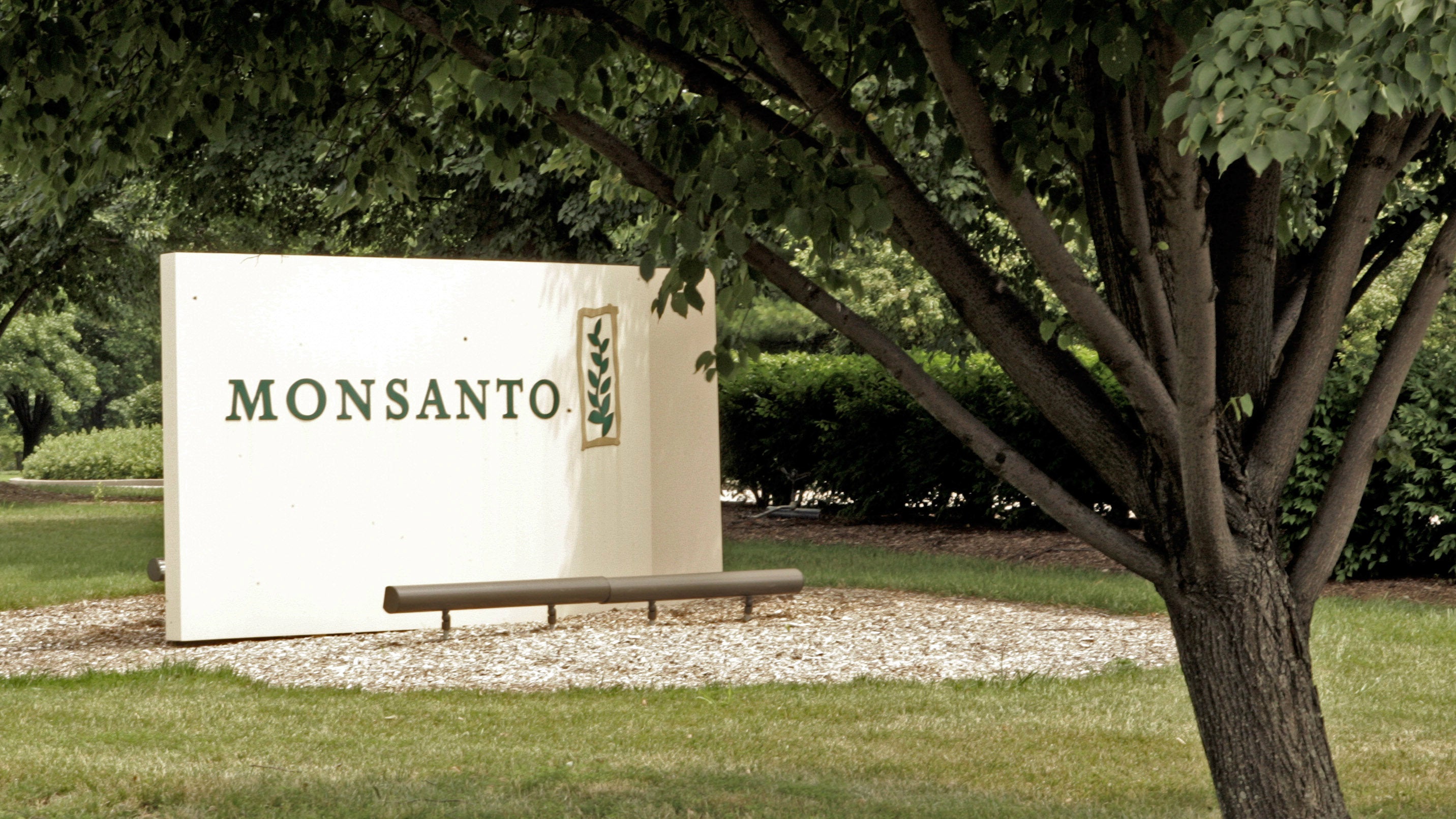 Monsanto’s super-broccoli shouldn’t scare you, but its plans for global ...