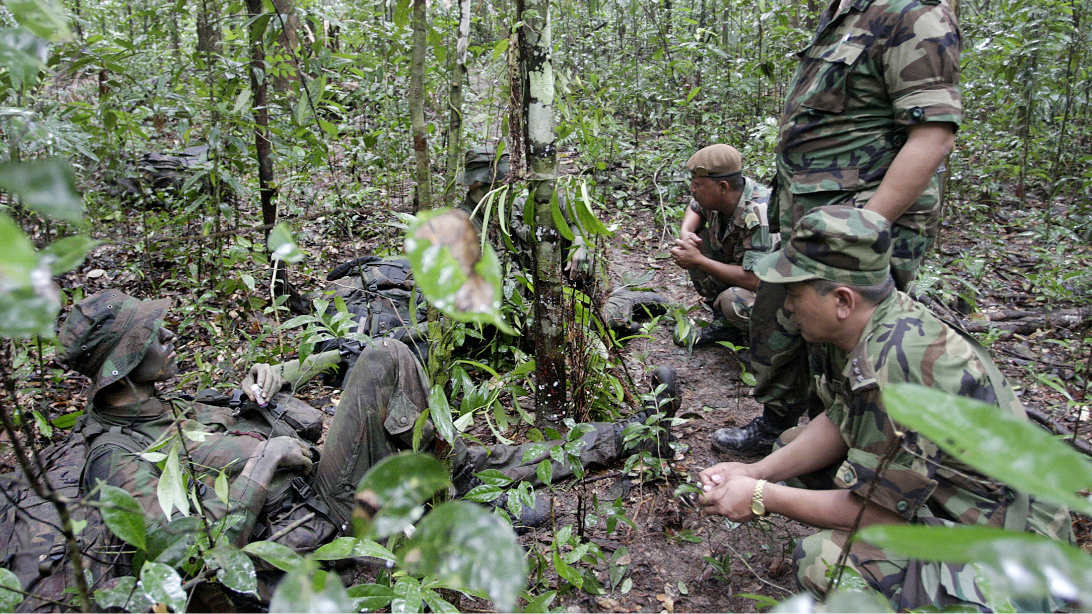 The Dutch military is trying out a new secret weapon: introverts
