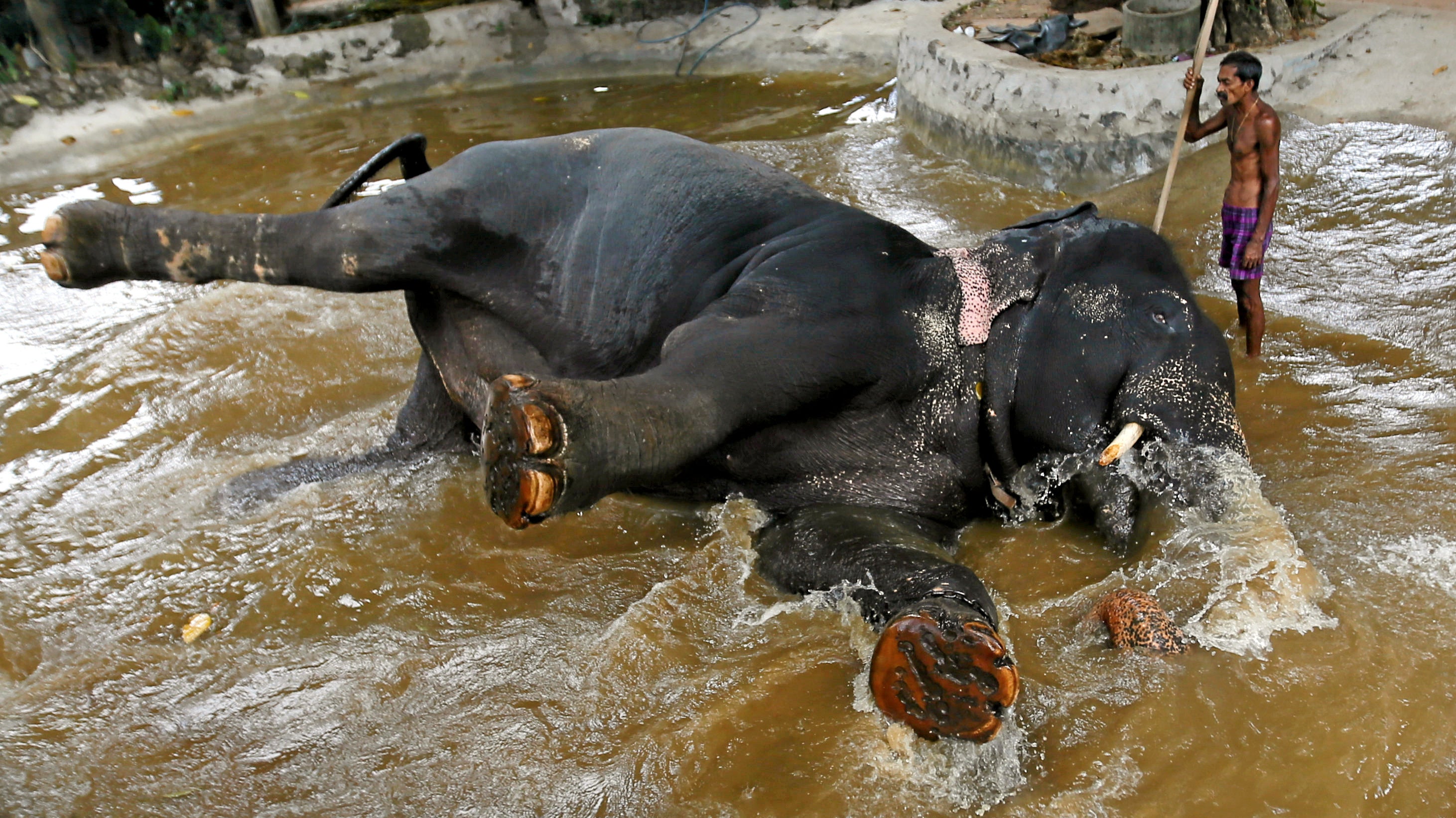 A new take on the “elephant” chart shows globalization still leaves ...