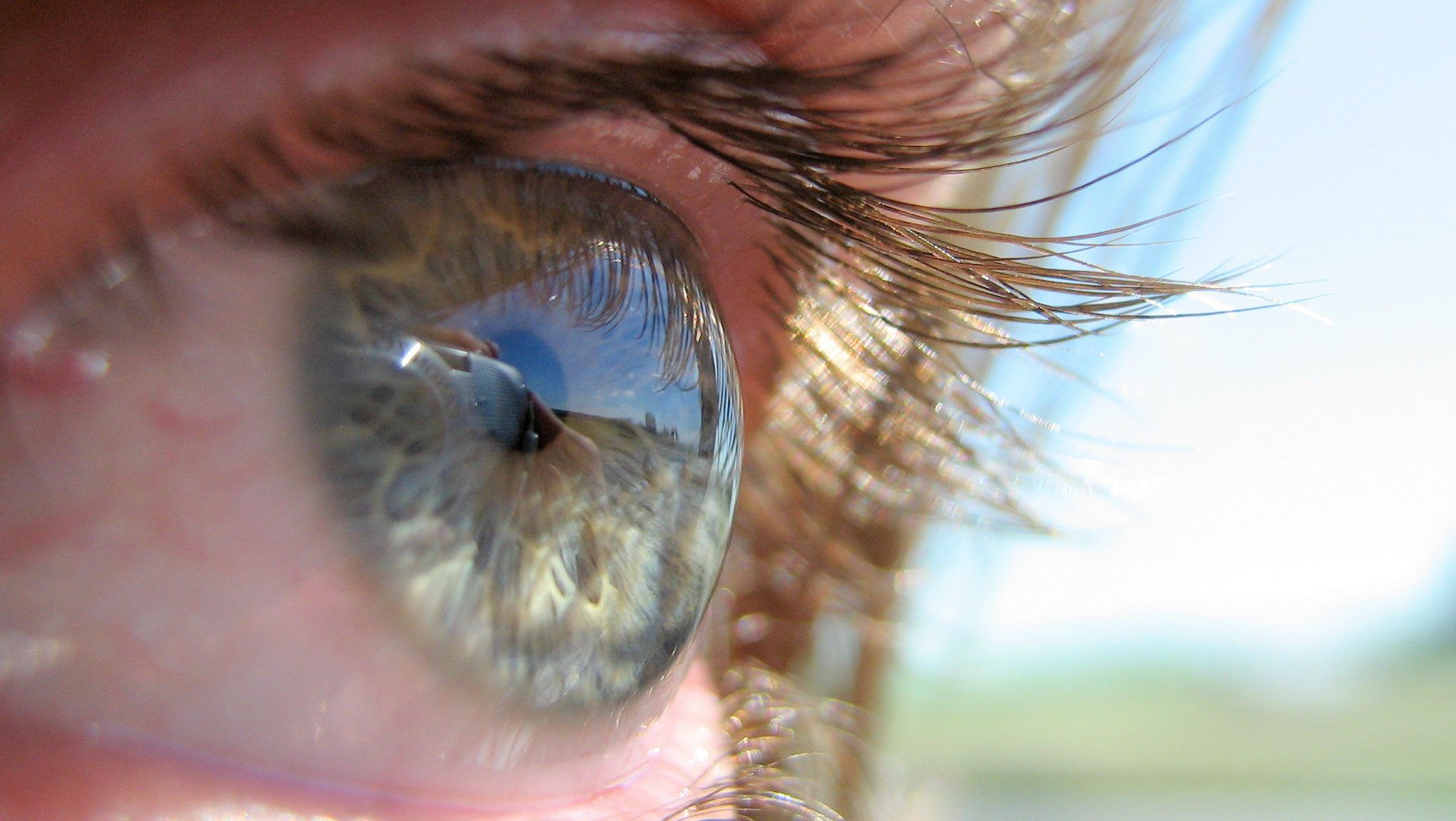 Open-minded people have a different visual perception of reality