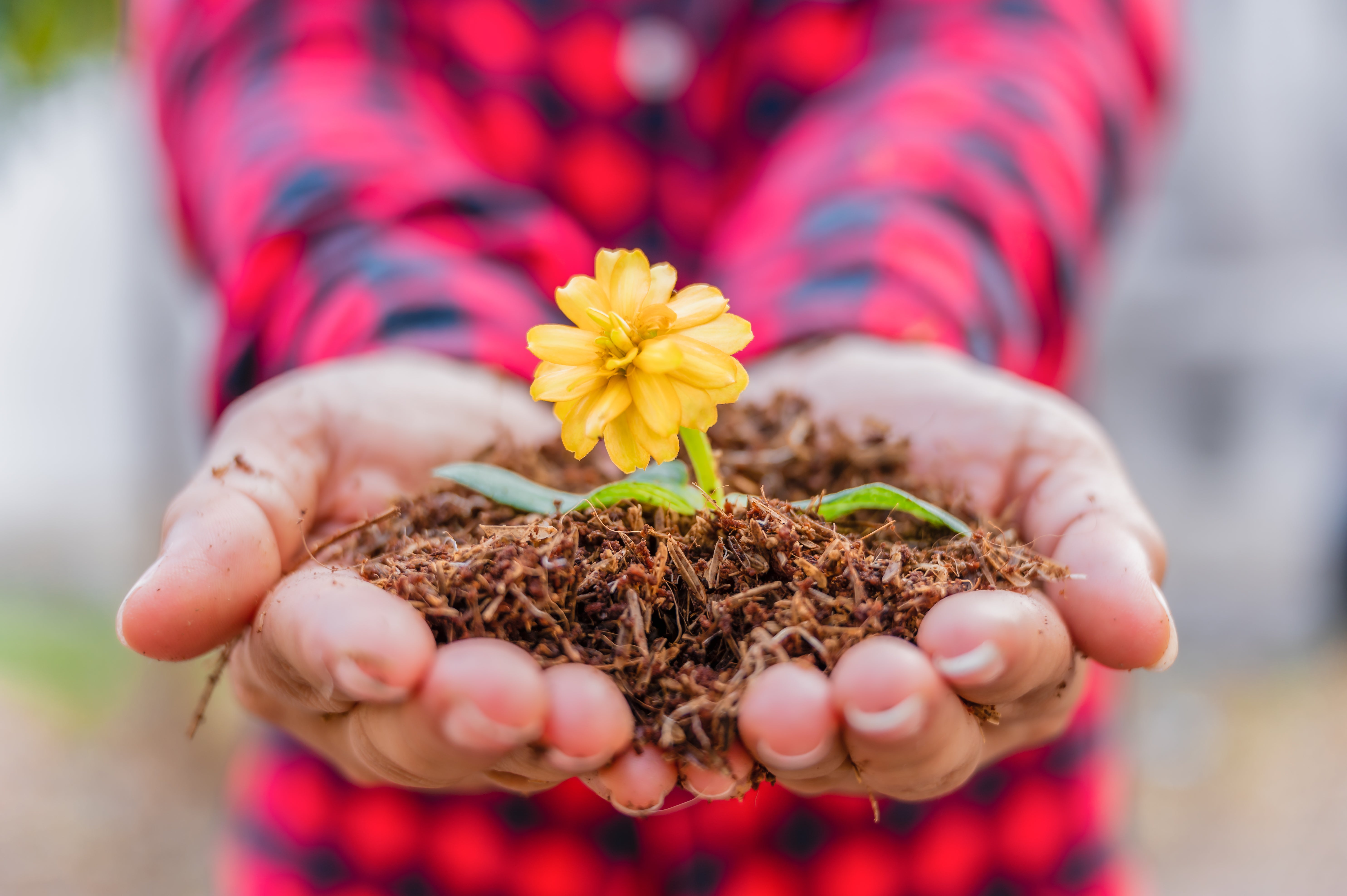 7 ways to nurture employee well-being