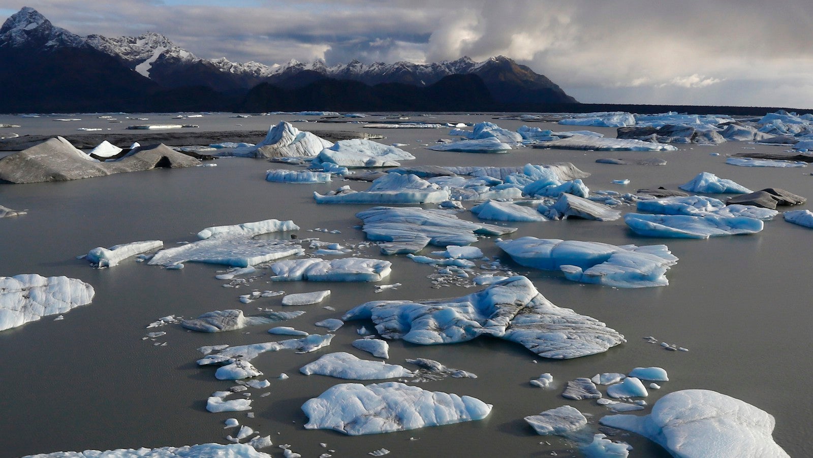 What the oceans will look like in 2050
