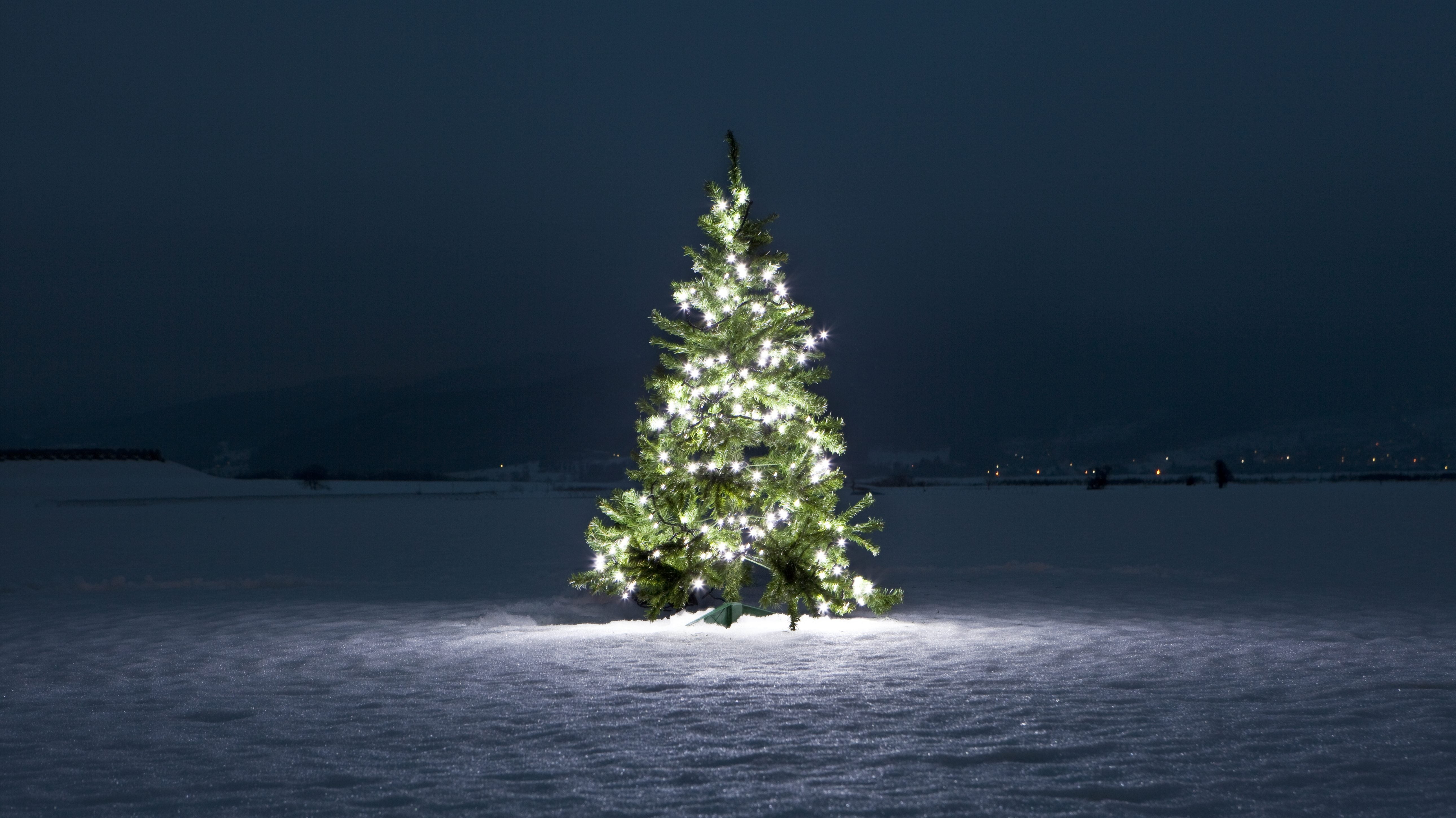 The History Behind The Christmas Tree